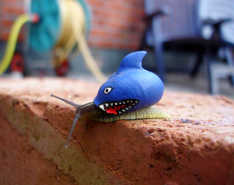 15 Pelbagai Tema Lukisan Pada Cengkerang Siput Babi..!!! | Selongkaq