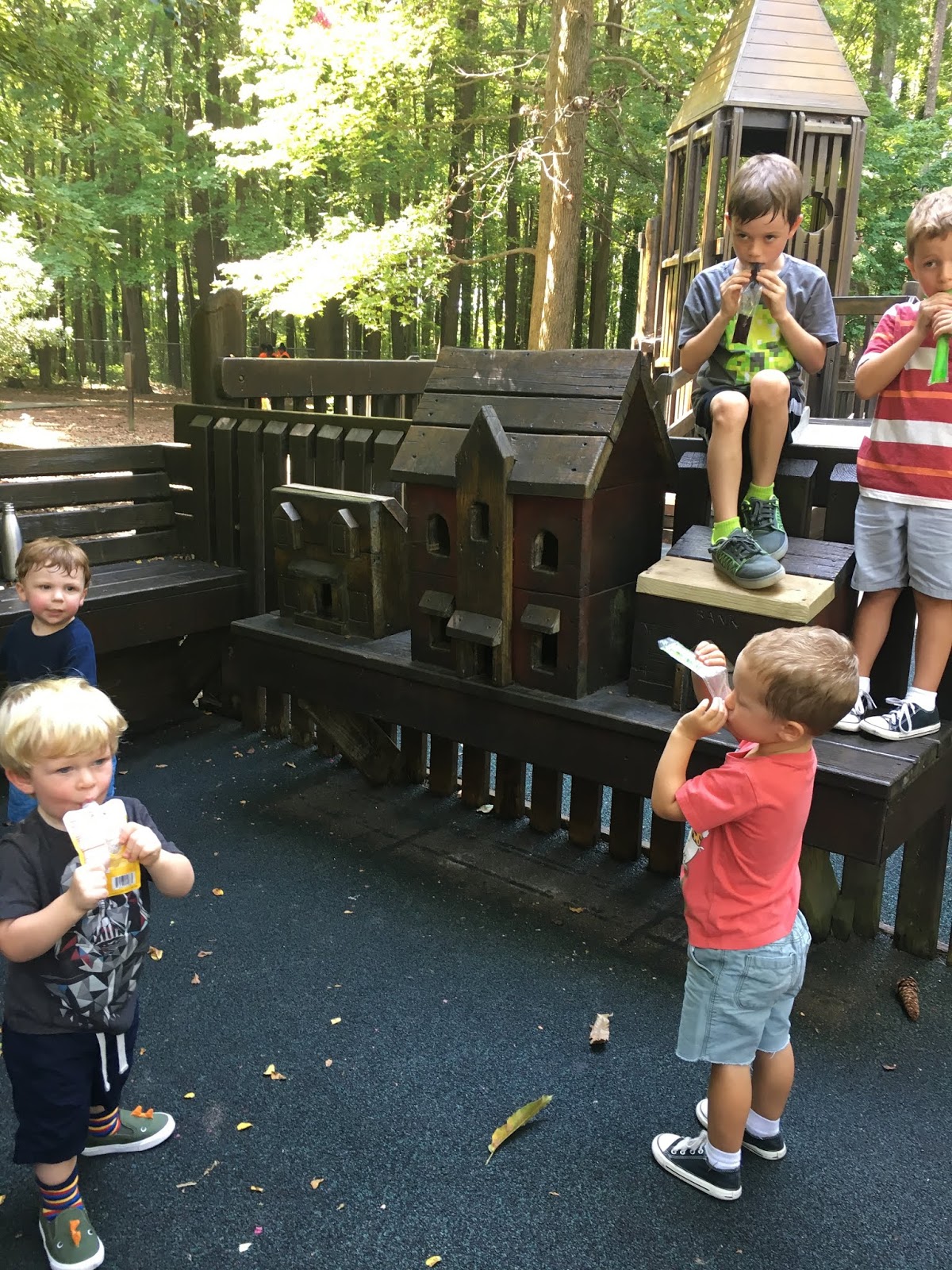 Fun Forest - Toddlin' Around Tidewater