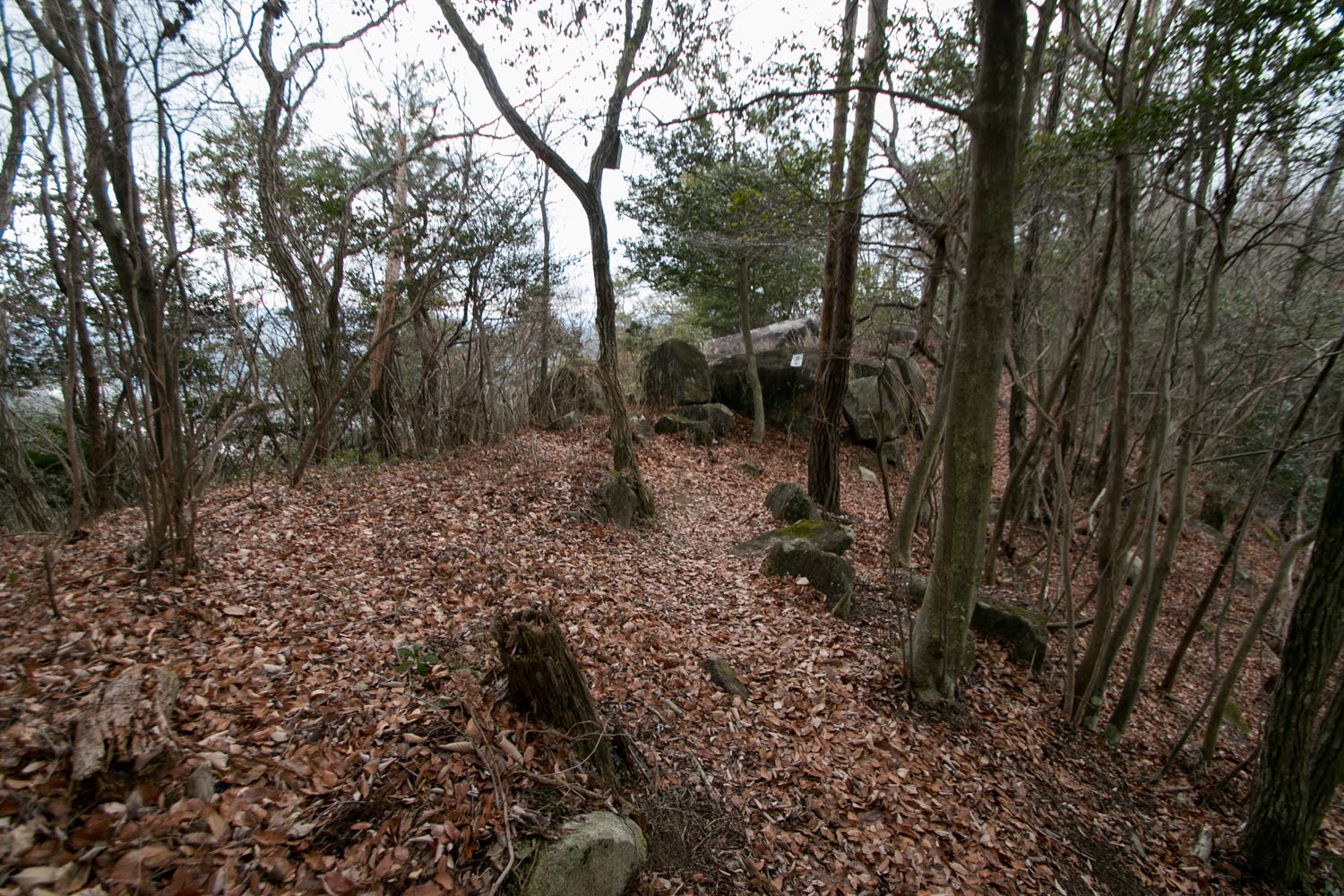 Tenjinyama Castle (Bizen) -When it goes around it comes around- | Ken's ...