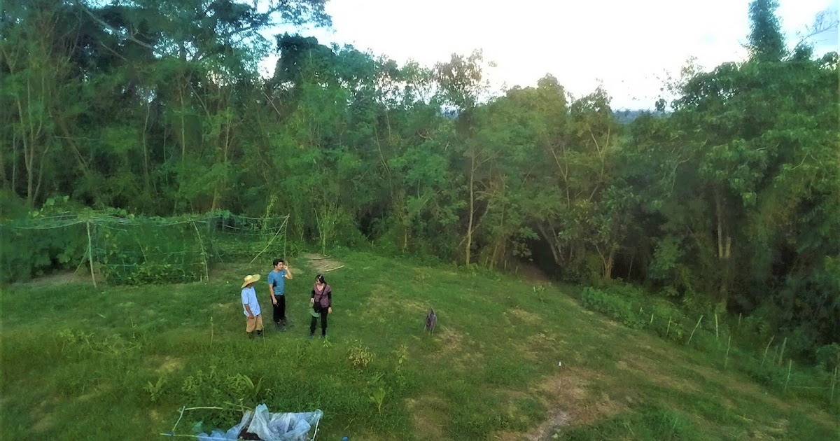 Permaculture Research PH: Lorenza's Garden & Food Forest Farm - Isabela ...