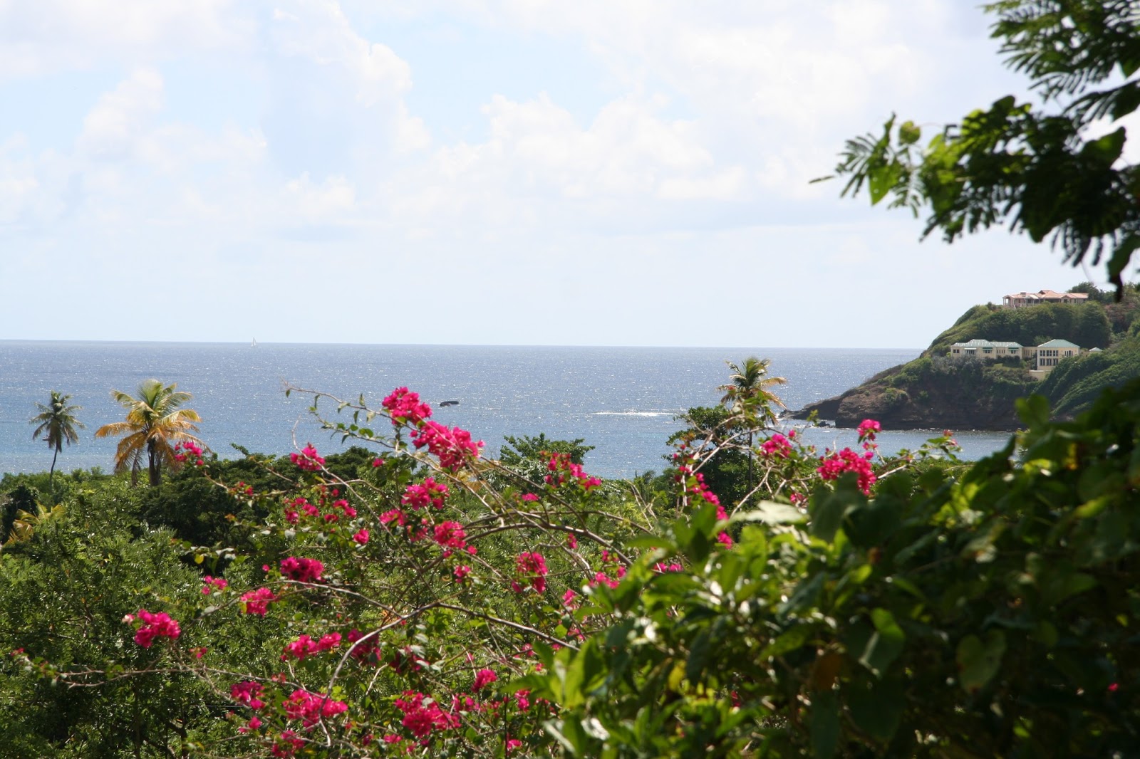 The Rum Collective: Westerhall Estate: Touring Grenada part 3