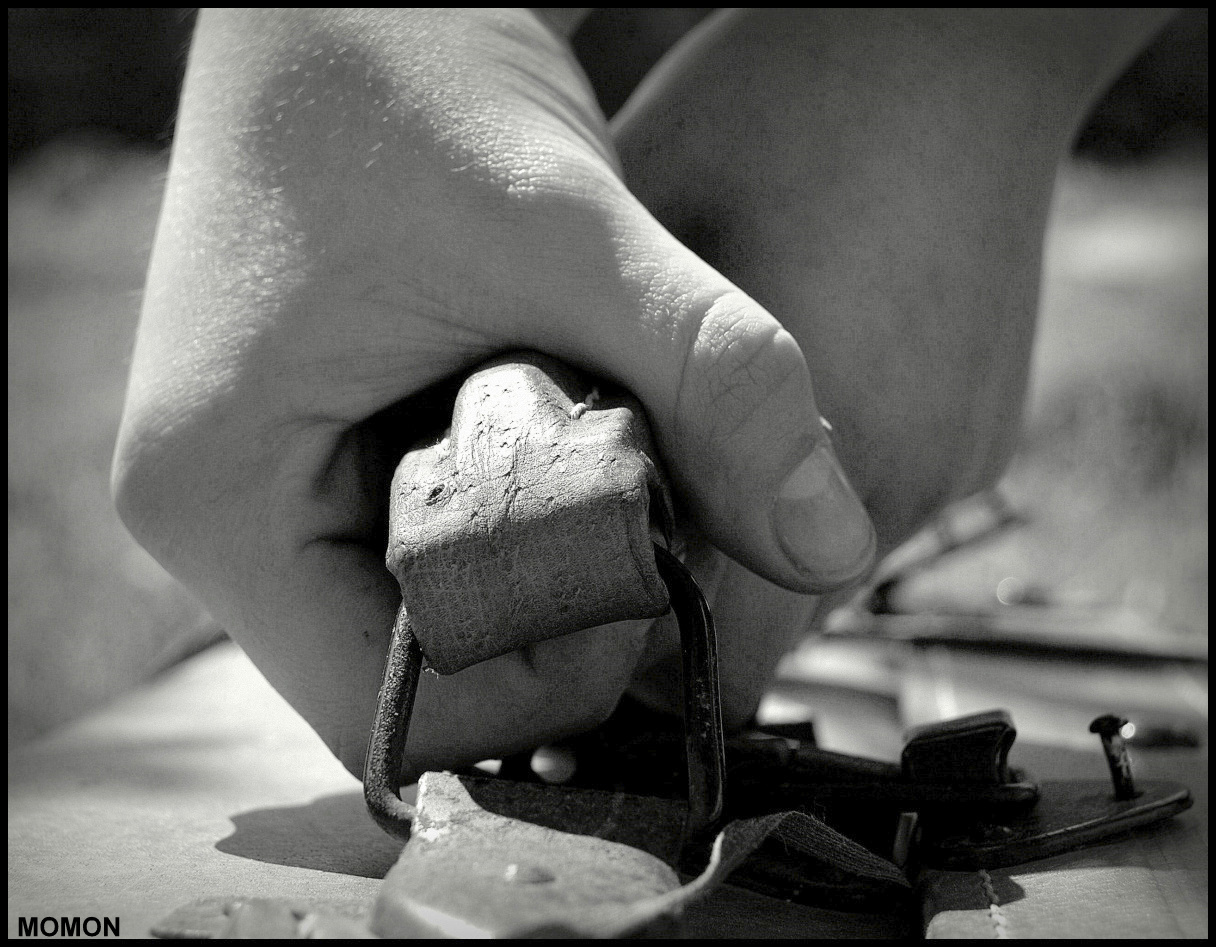 comparte+: TOMEMOS LAS RIENDAS YA