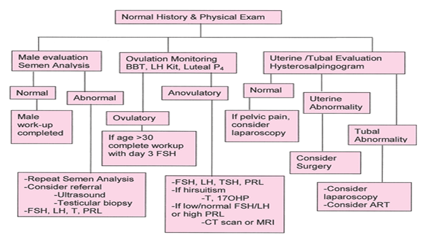 Infertilitas - CatatanDokter