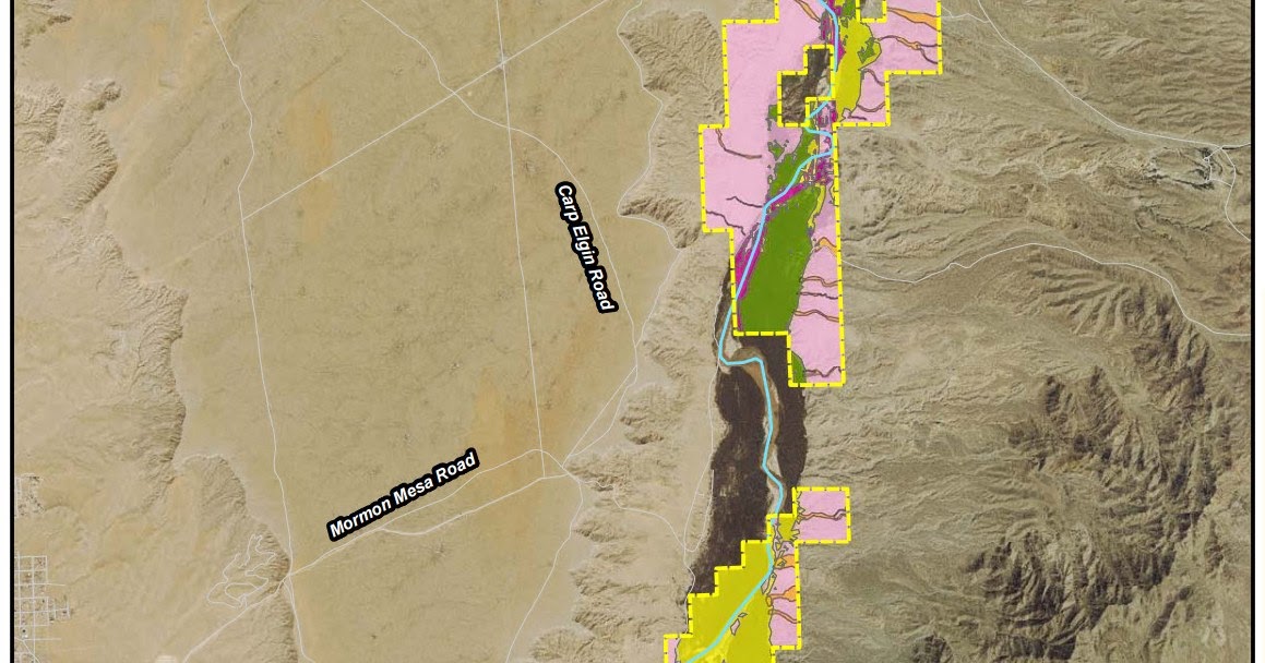 Ken's Photo Gallery: Overton Wildlife Management Area