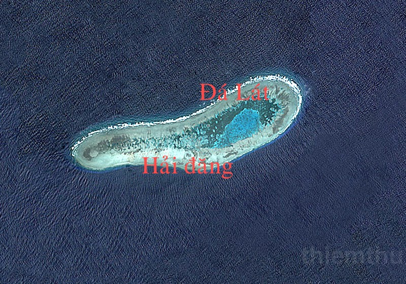 Đảo Đá Lát (Ladd Reef)