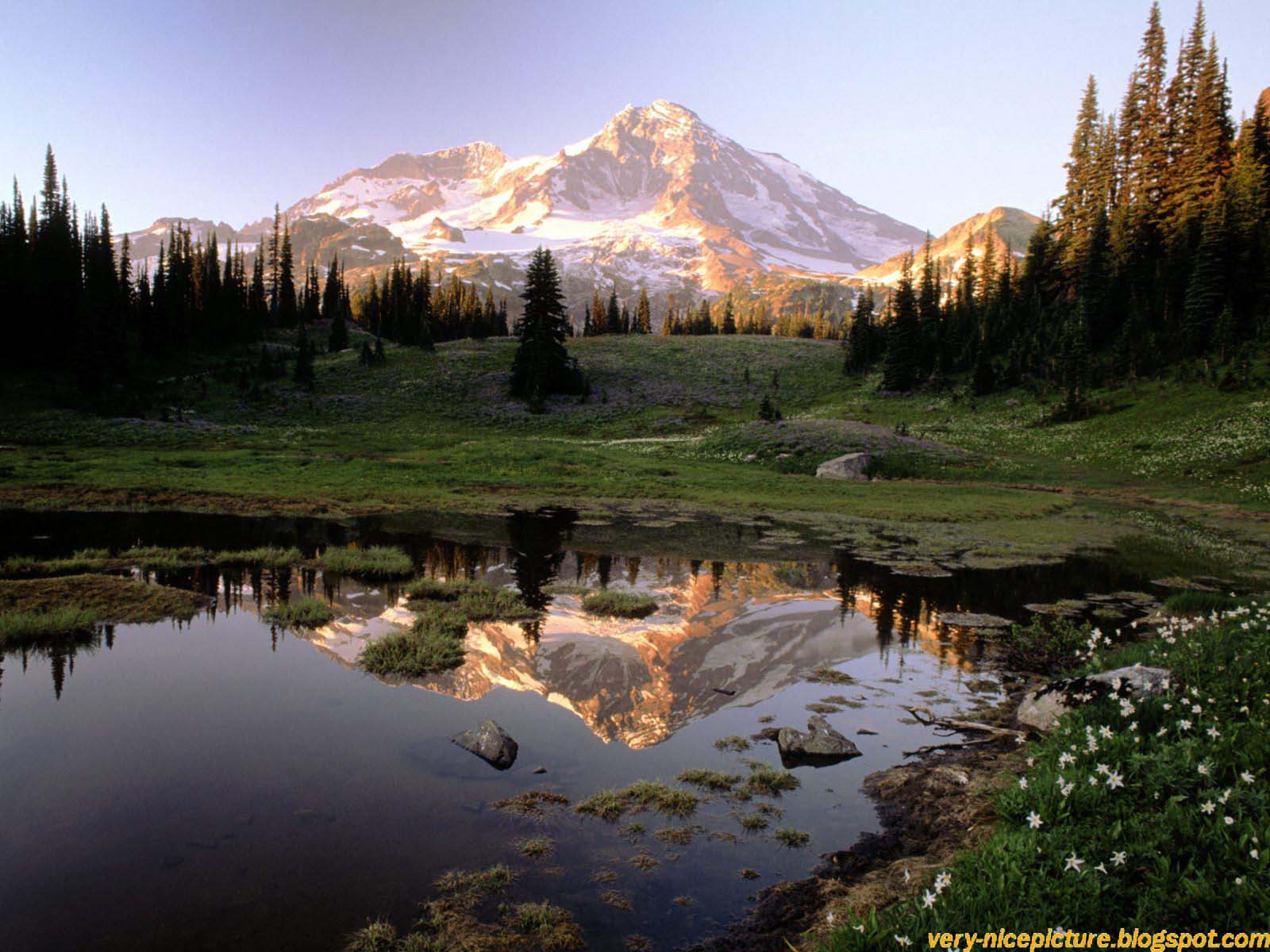 New Wallpaper, Free Images, Free High Resolution Images