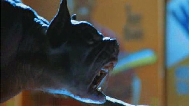 Mr. Movie: Bats (1999) (Movie Review)