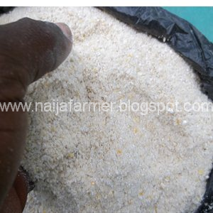 How I made my Catfish feed: Making Catfish feed at home or farm (Local ...