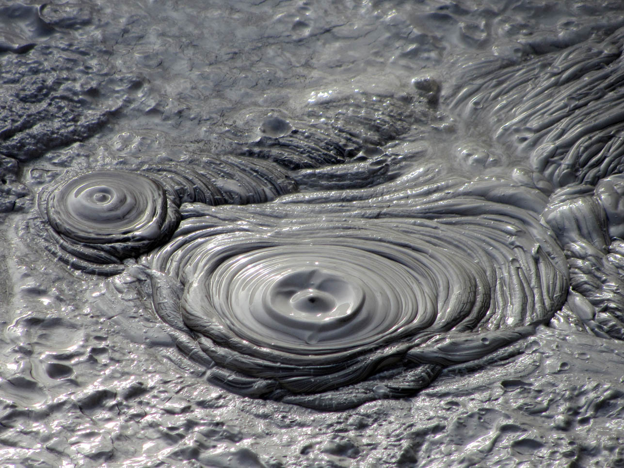 The Face Shop: New Zealand Volcanic Clay Black Head Clay Nose Pack ...