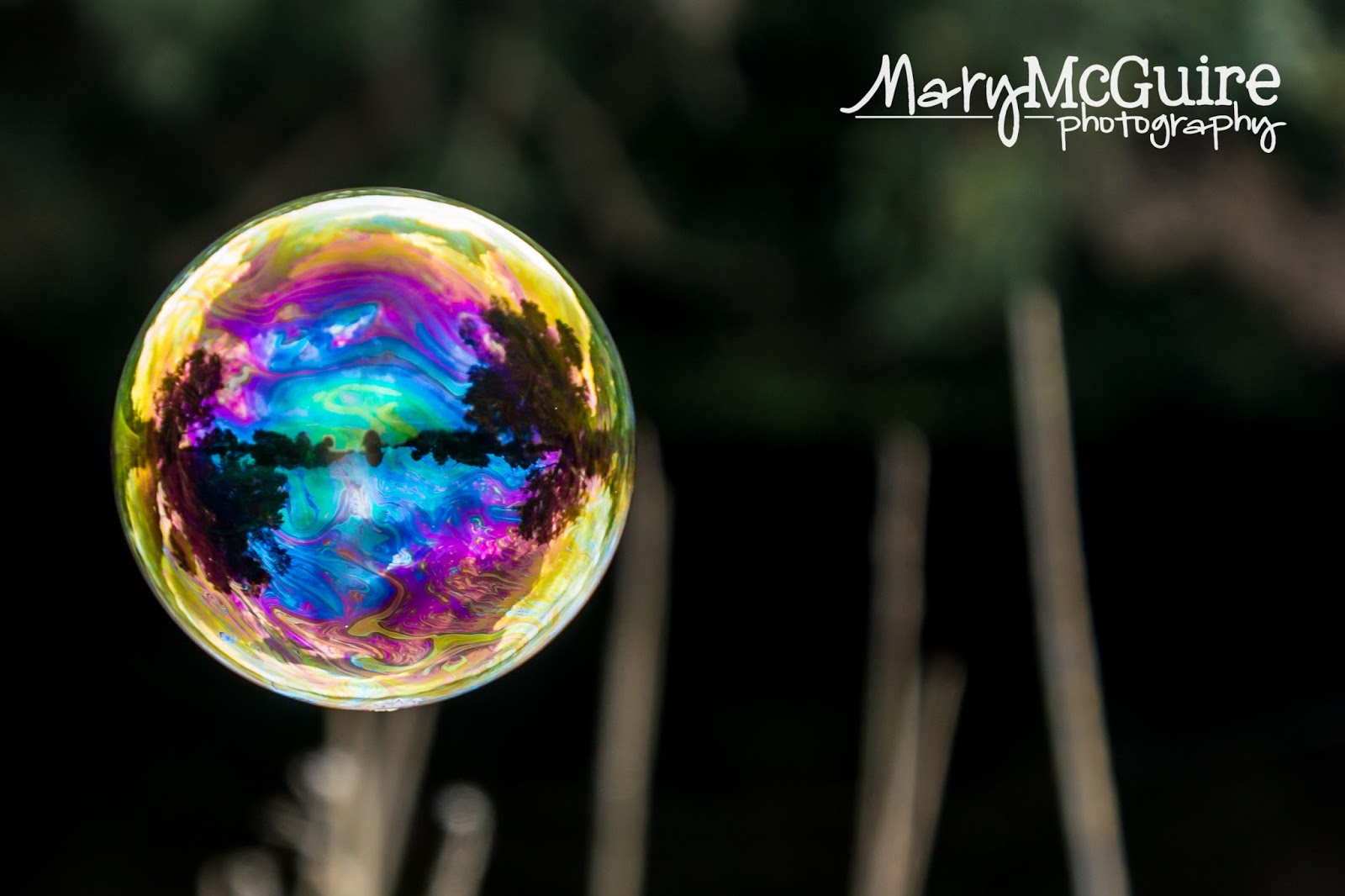 Mary McGuire Photography: Happy Friday - Photographing Bubbles