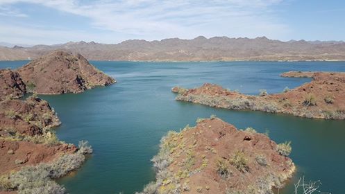 The Evans' Journey: Levi - Lake Havasu Photo