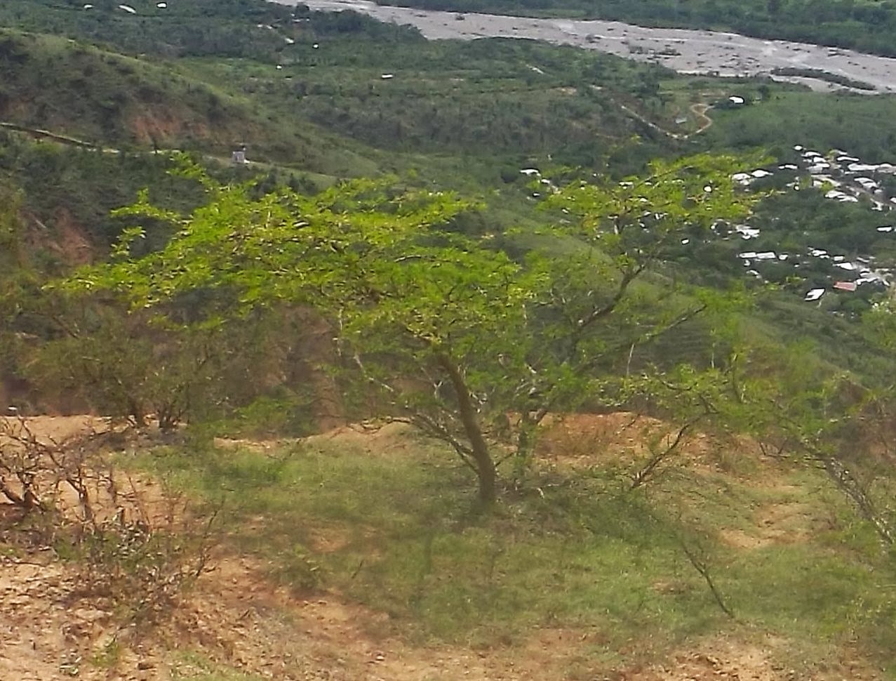 Cañón Xerofítico del Cabrera y Ambicá