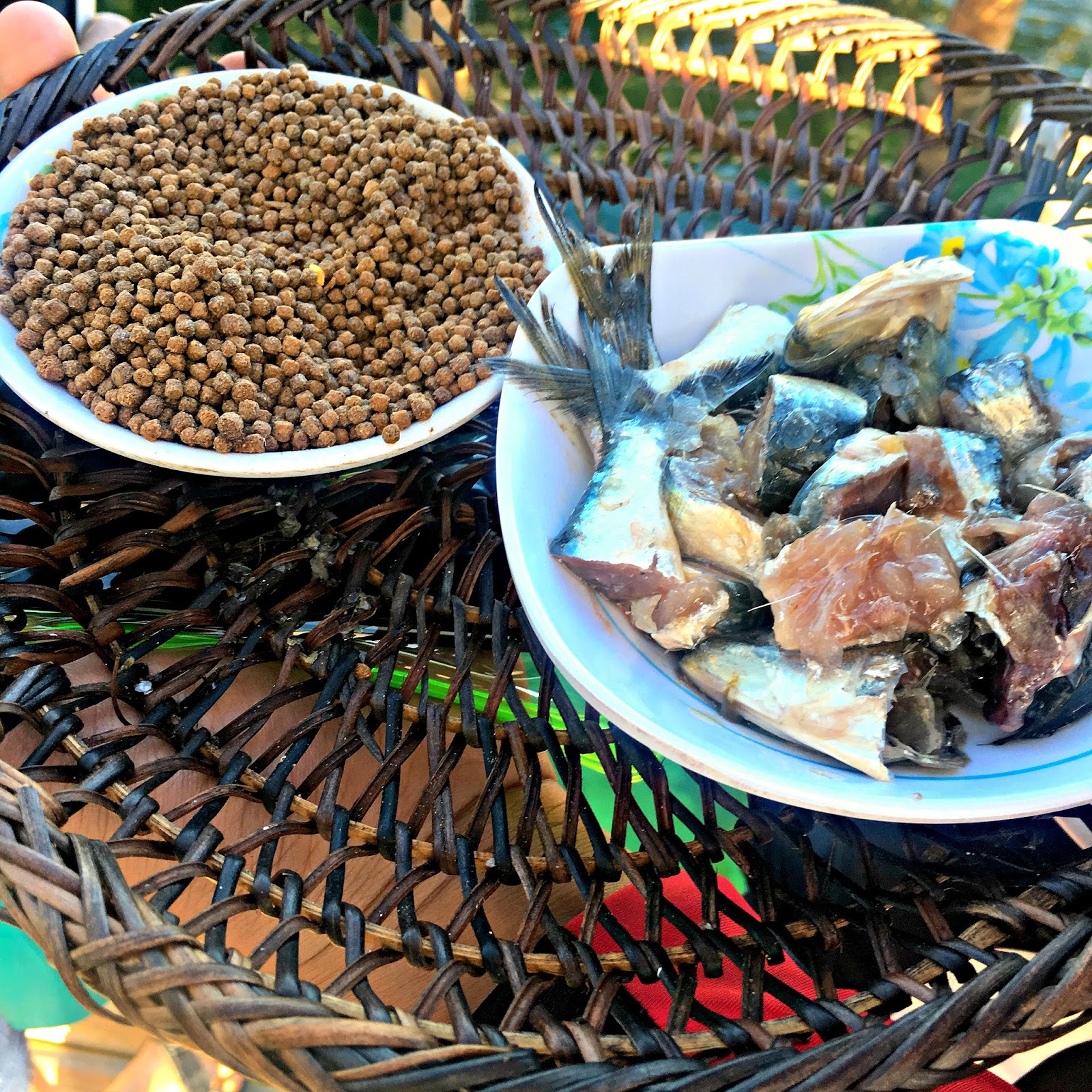 Underrated Beauty of Sorsogon Philippines - Living in the Moment