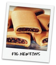Dying for Chocolate: NATIONAL FIG NEWTON DAY