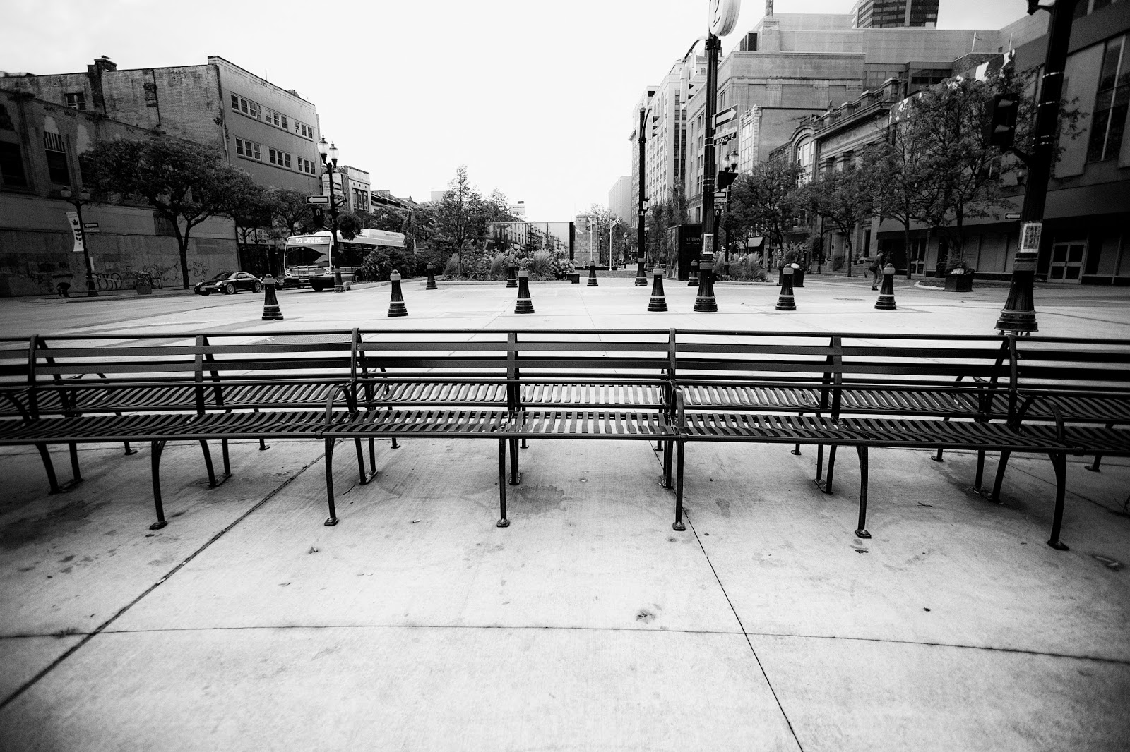 Photography by David Rees