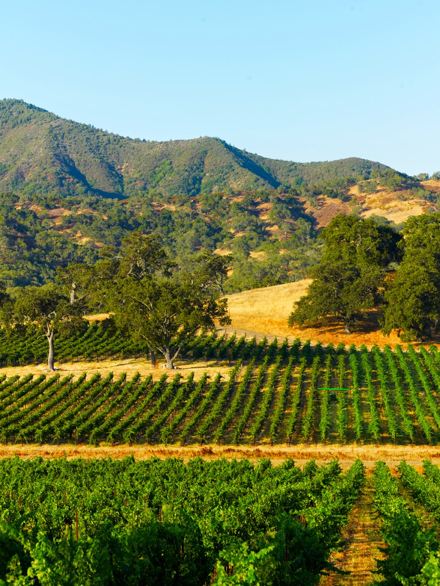 Paso Robles Wine Country: Divides into 12 AVA's