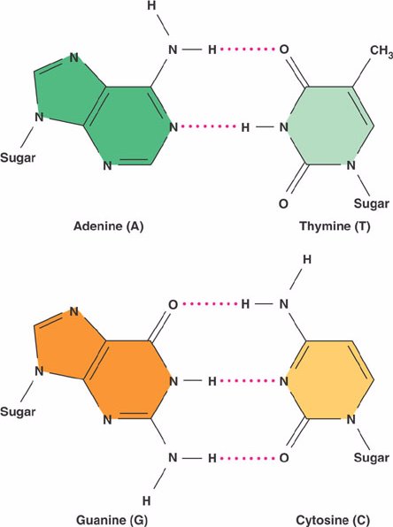 savvy-chemist: GCSE OCR Gateway Organic Chemistry C6.2h The Structure ...