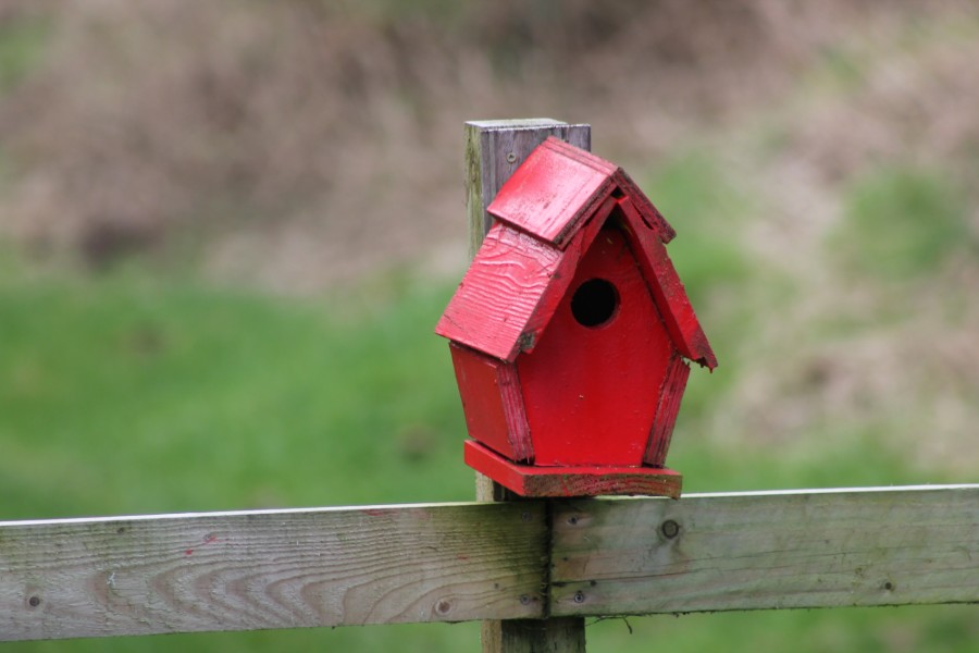 Trip to Derryounce Lakes - Purity Belle Environmental Blog