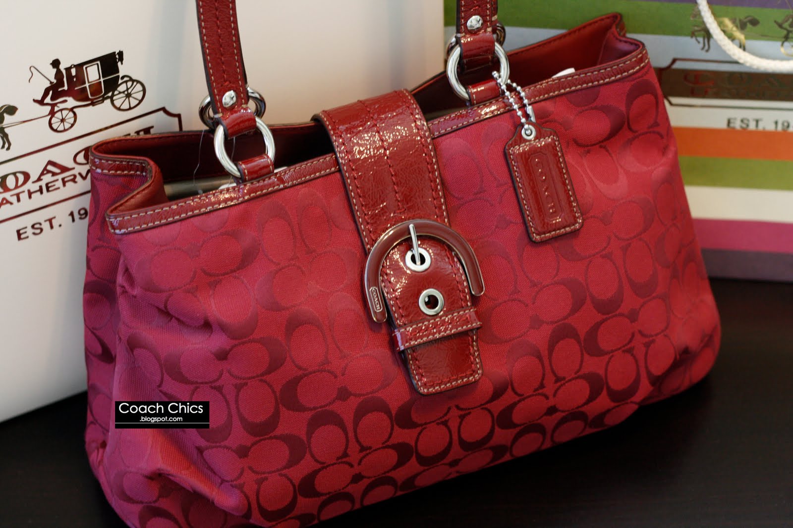 Coach Chics: OCTOBER- COACH FABULOUS NEW COLLECTION for FALL 2011