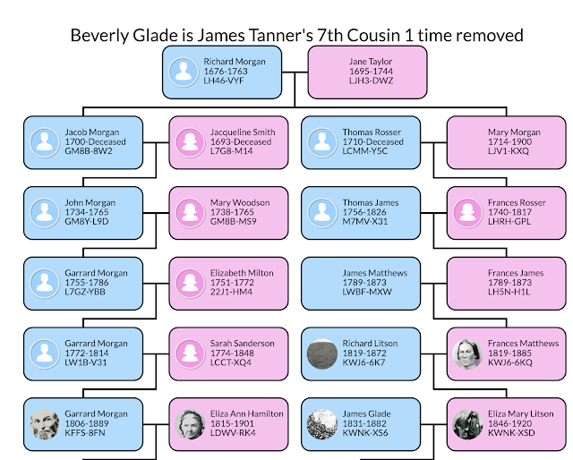 Rejoice, and be exceeding glad...: Are you barking up the wrong family ...