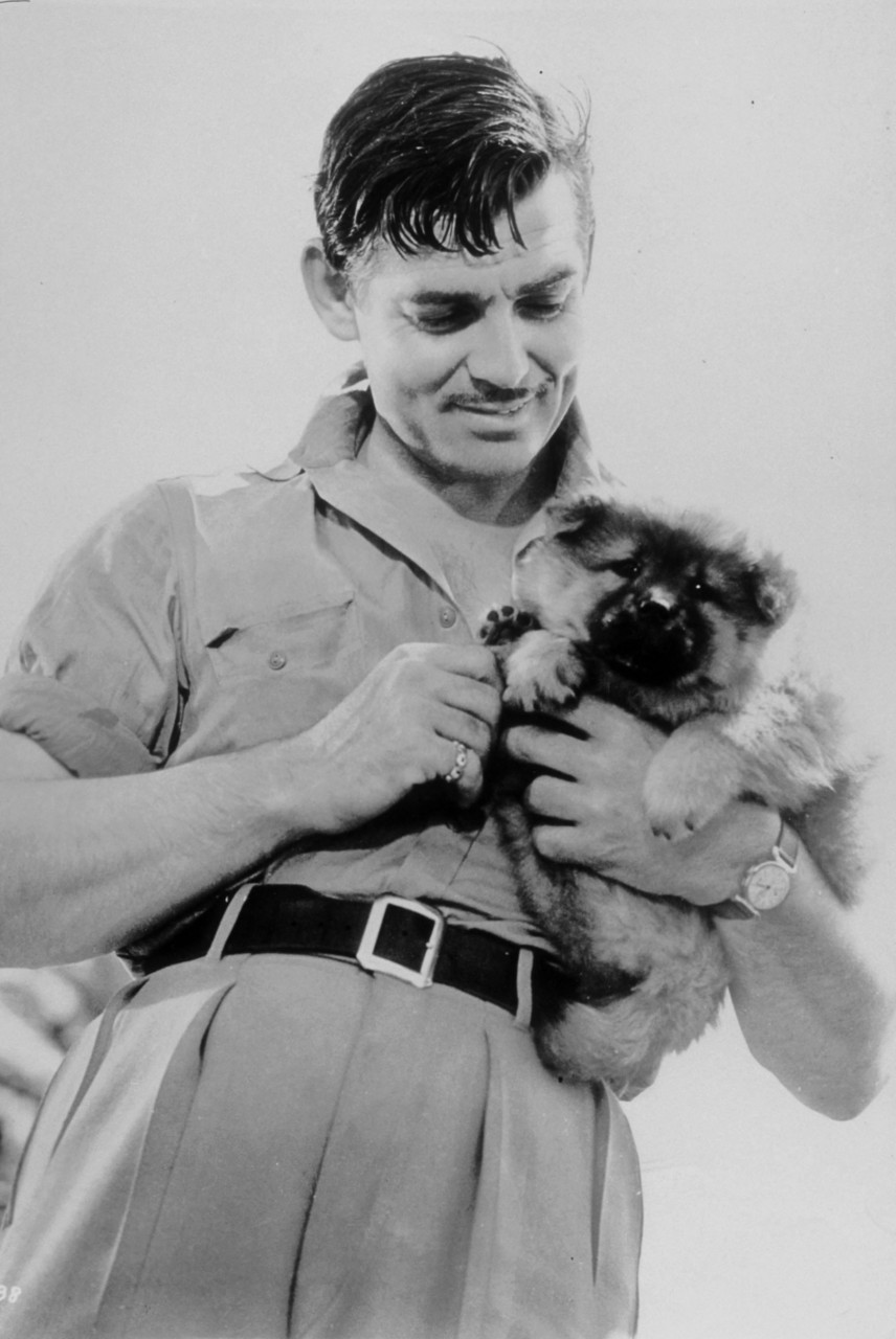 Lisa Papineau: Actors & animals