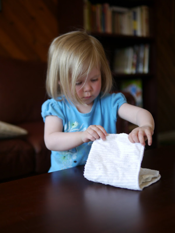 Seven Quick Takes Friday - Backwoods Mama