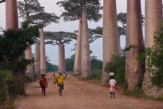 best photos 2 share: 8 Pictures of The Beauty of Madagascar
