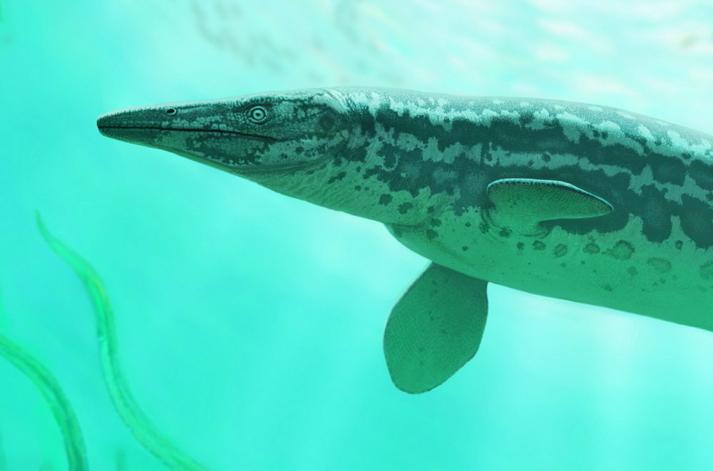 DinoArt: Clidastes finished