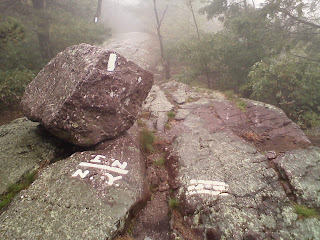 A Backpacker's Life: New Jersey Border