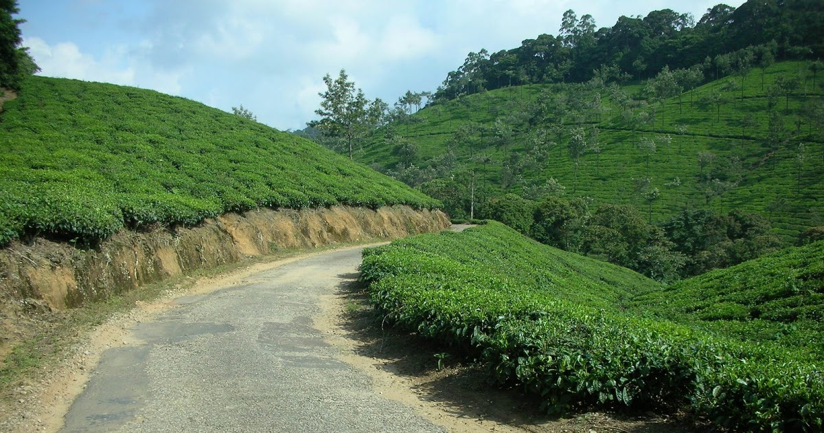 Tamilnadu Tourism: Nalumukku, Manjolai Hills