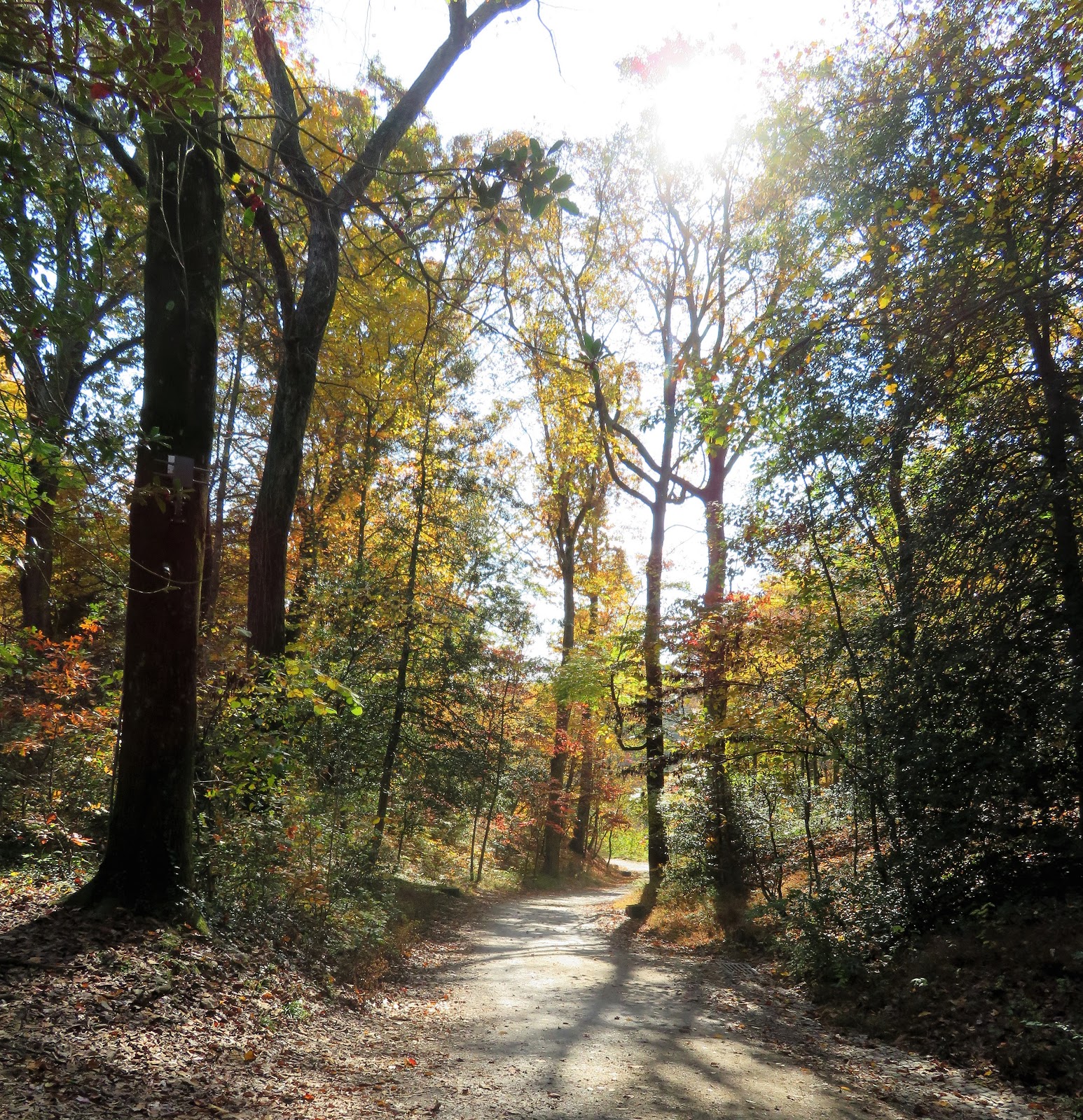 Somewhere Else: It's All About Washington