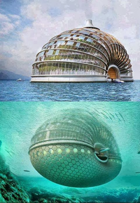 eShowBiz: Amazing Ark Hotel, China