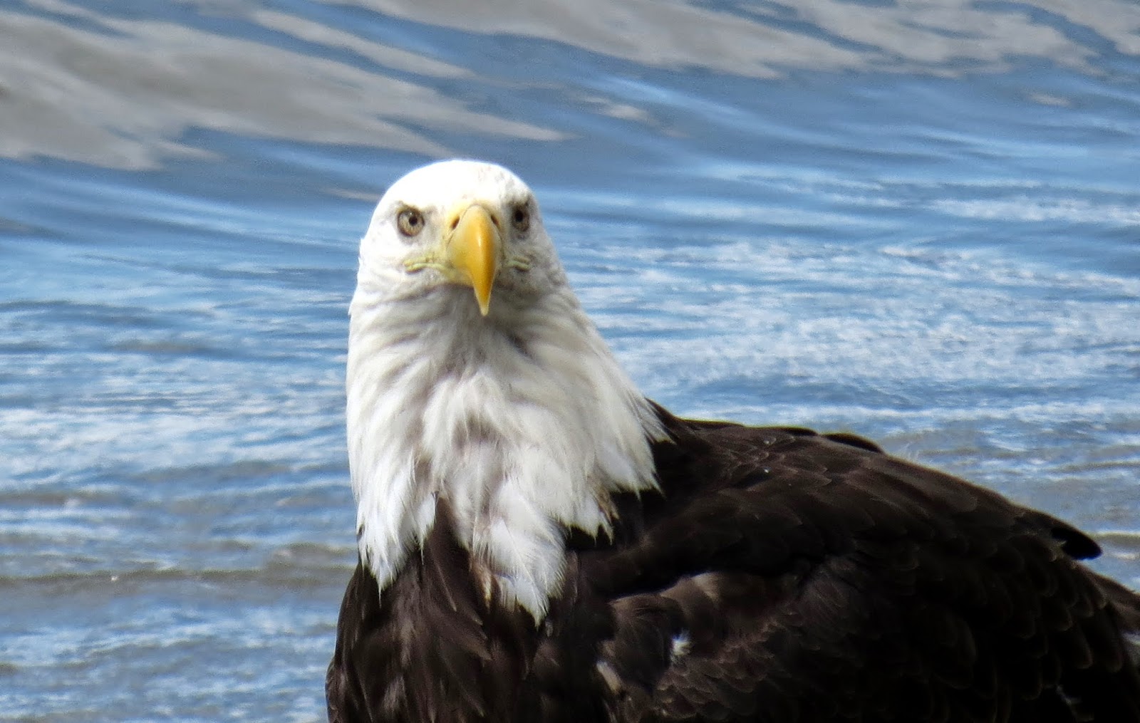 On the Road with Anna and Noel
