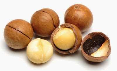 Nueces de Macadamia ~ Guía para plantar