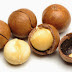 Nueces de Macadamia ~ Guía para plantar