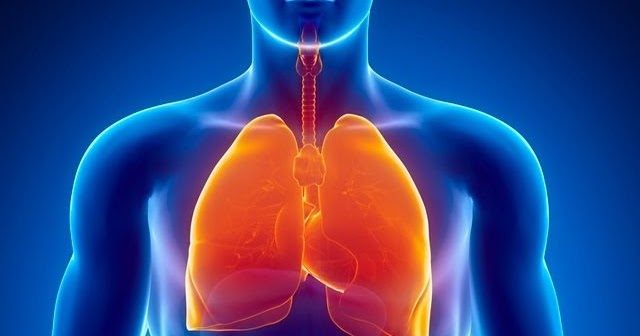 SOY EL PULMÓN DE JUAN - Educar con Ciencia y Tecnología