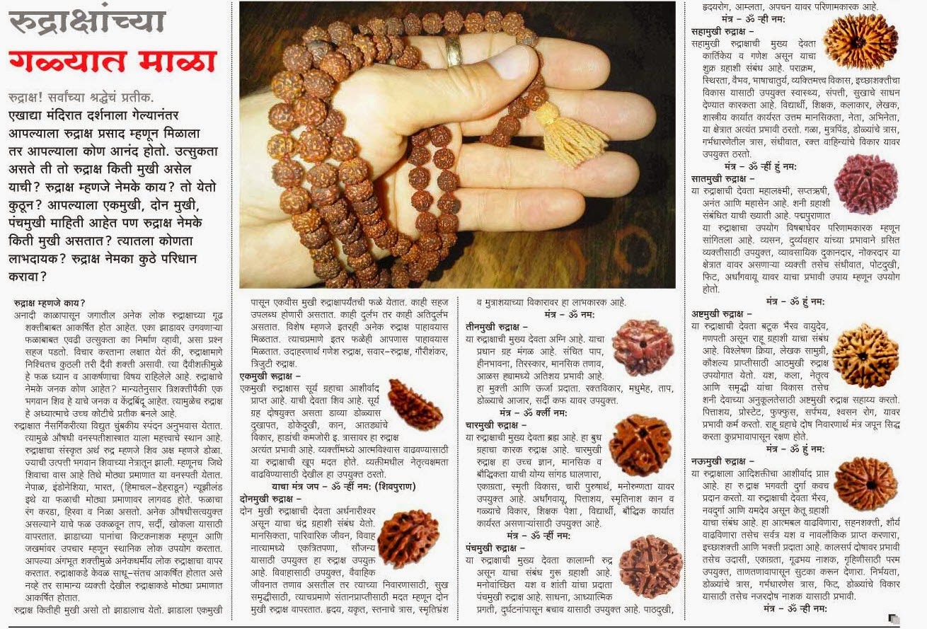 PUPUTUPU: Rudraksha means what? How it benefits us? What is mantra ...