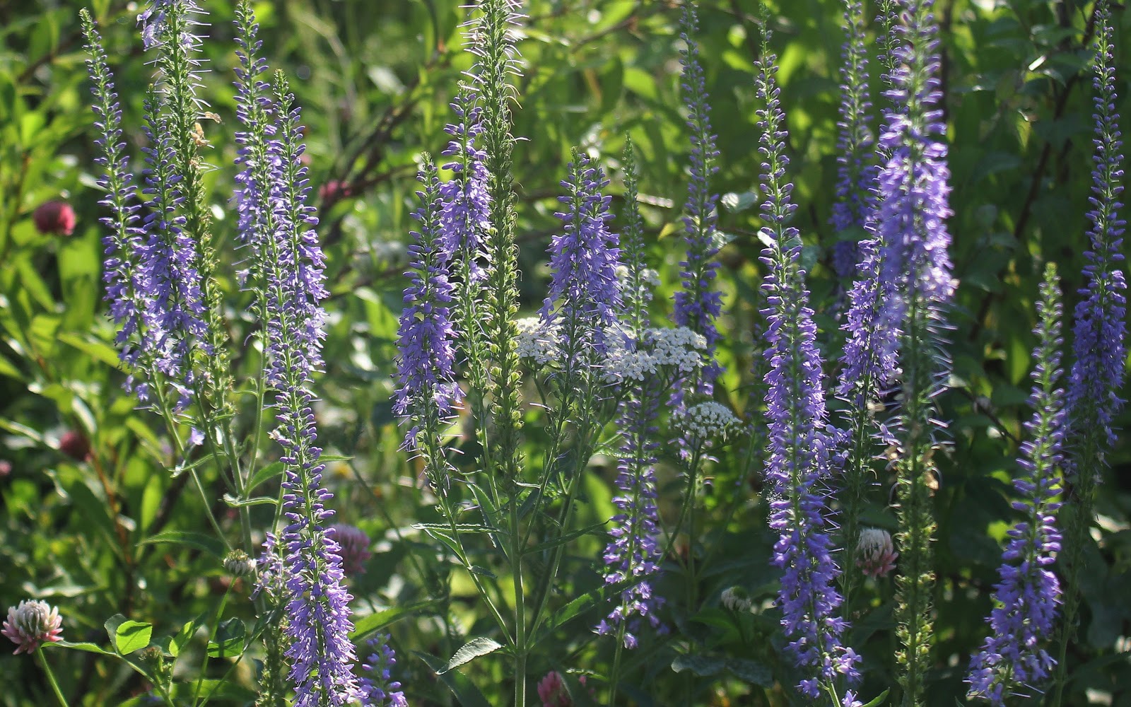 Travel & Adventures: Moscow, Russia, four seasons. The Nature of Moscow ...