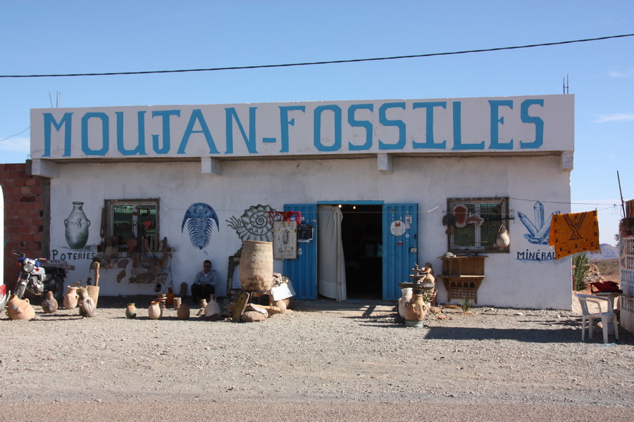 Notre tour du Maroc 2014: 25 mars - Les fossiles de Moujan à M'Cissi