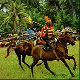 Tourism Destination: Pariwisata NTT