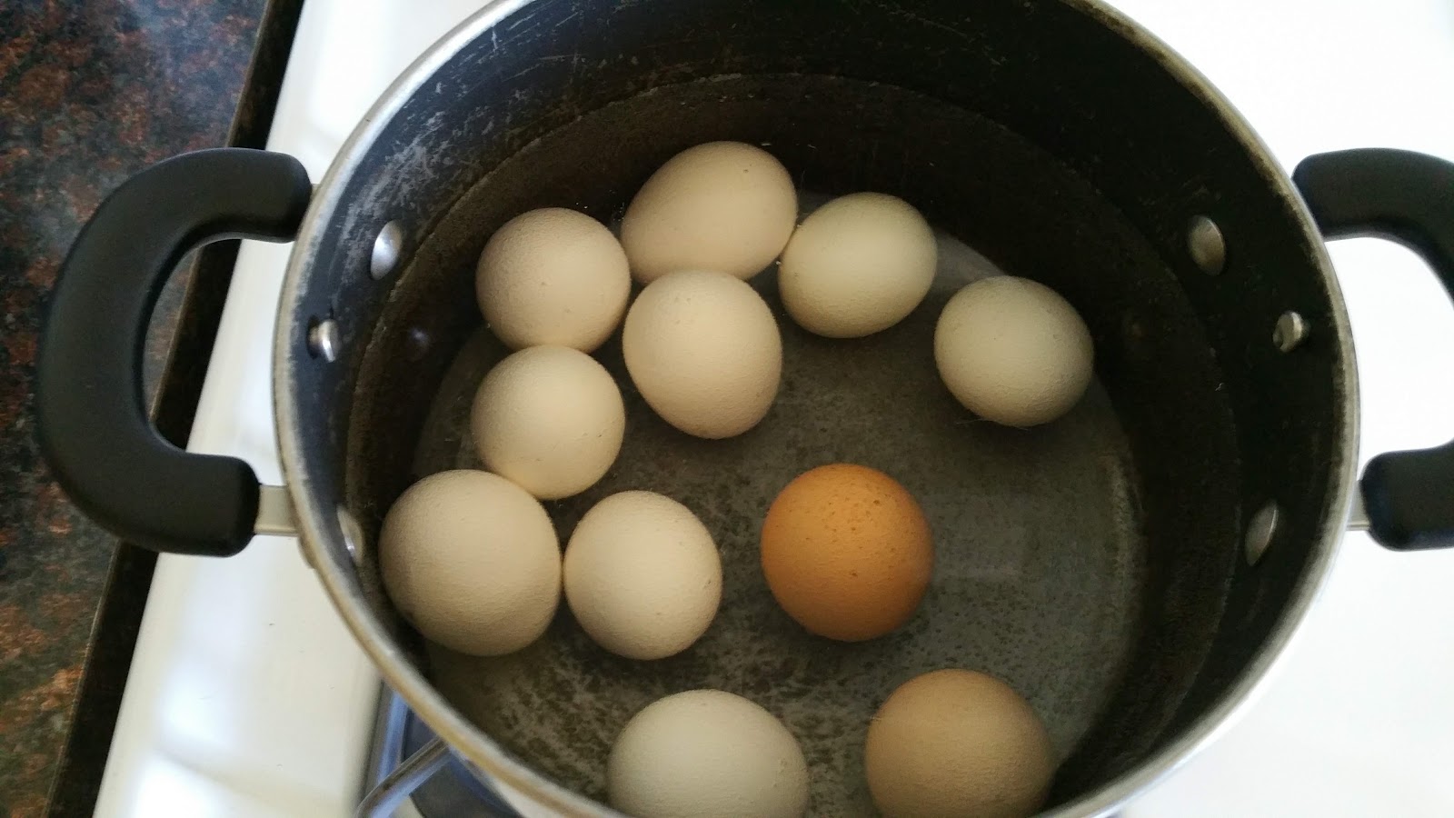 How To Check For A Rotten Egg? ~ Friday Food