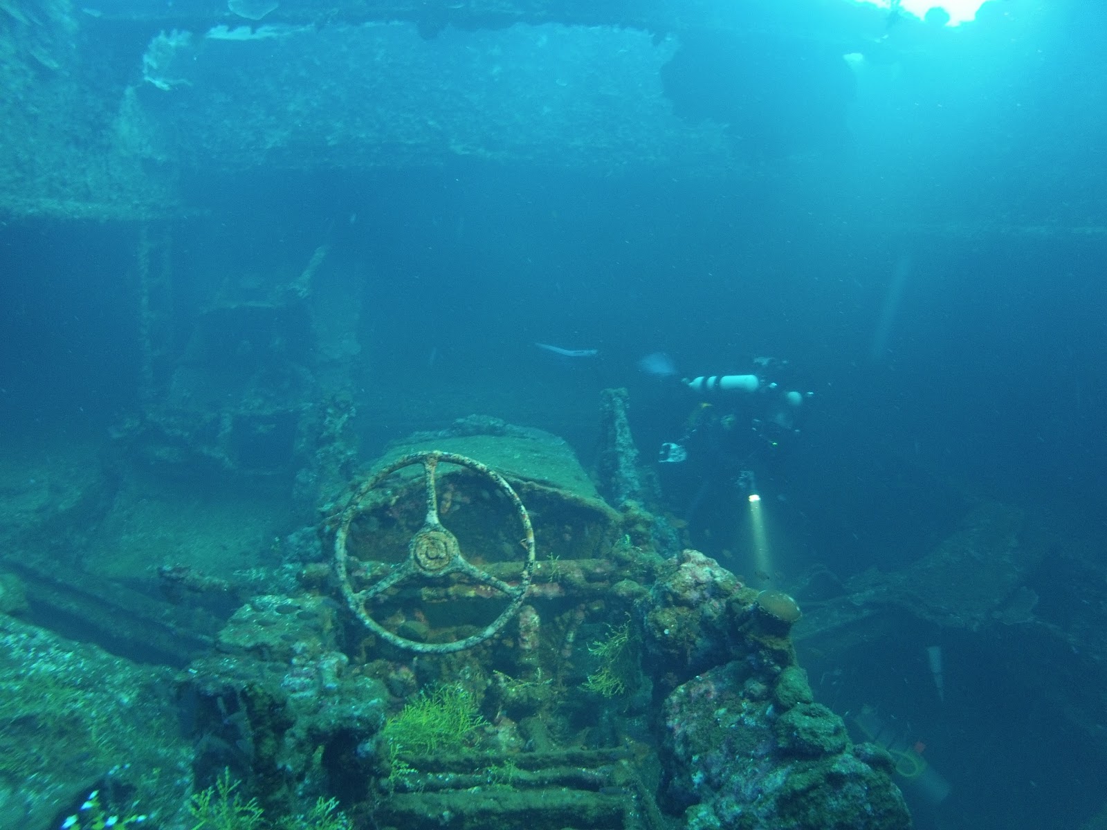 Rob Royle - Year out!: Diving the Japanese Fleet of Truk Lagoon!