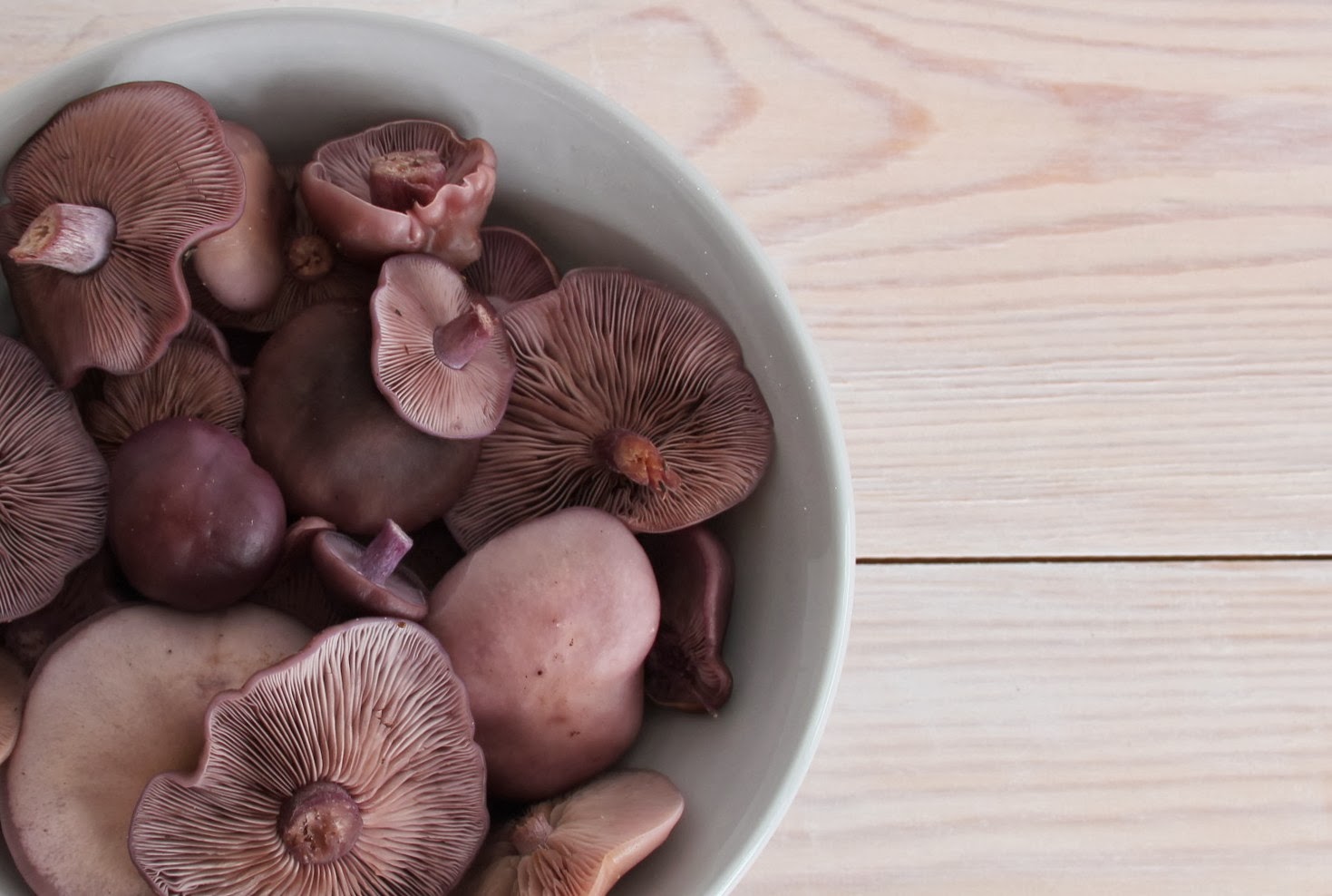 Kate & Plate: La seta de pie de vaca