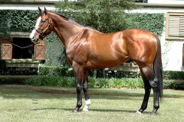 Urutan Hewan Mewah Paling Mahal Di Dunia Yang Pernah Terbeli - Berita ...