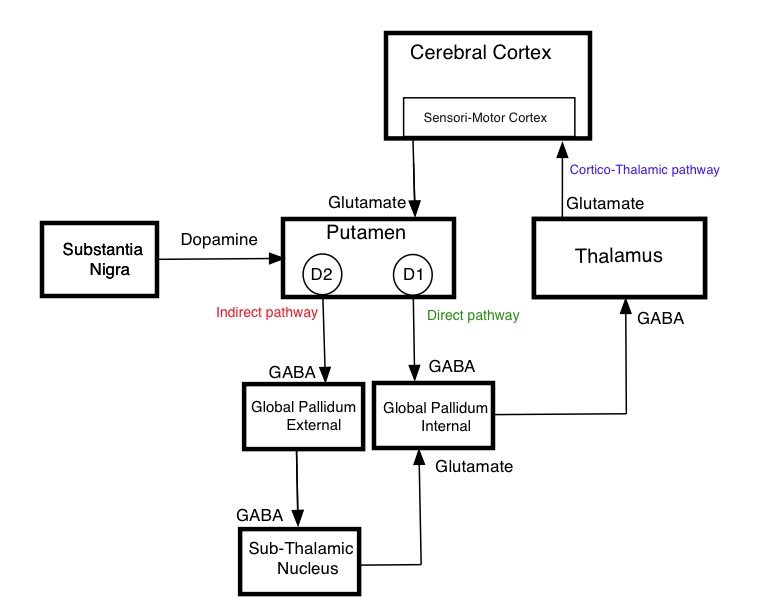 Stutter-Mind-Body: Direct/Indirect Pathways and Fluency
