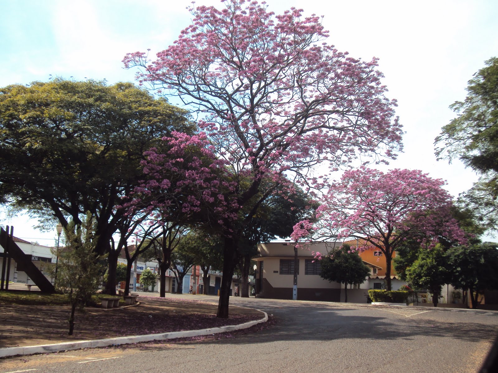 Imagens e Lugares: Alto Paraná - Pr