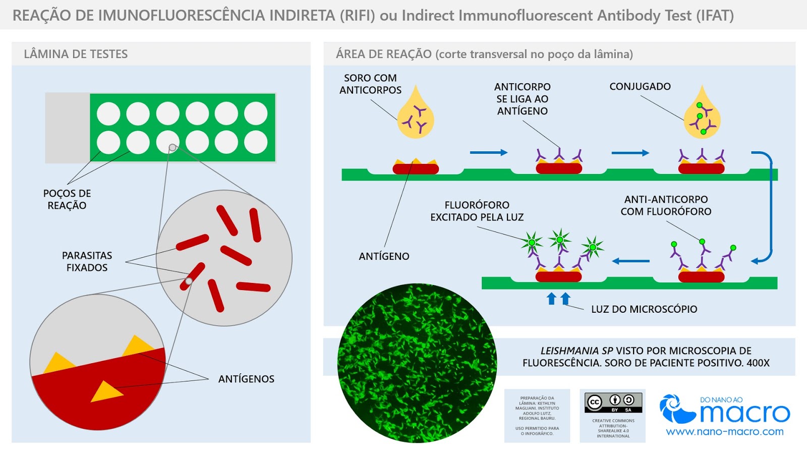A mágica do diagnóstico - post 2