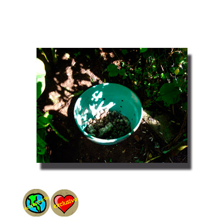 LA CASA DE POCH: ¿Qué es el SANI-CAN?