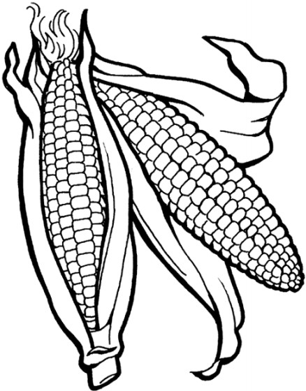 Gambar Mewarnai Sayuran Terbaru | gambarcoloring