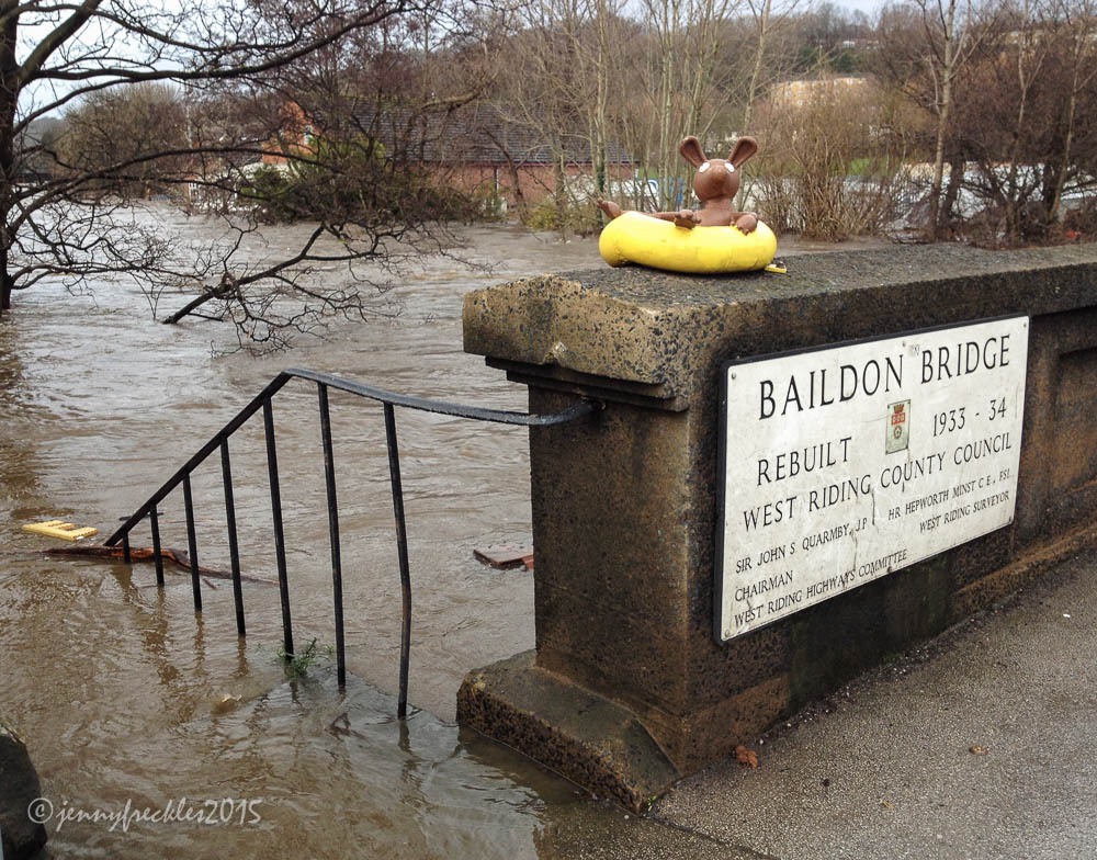 Saltaire Daily Photo: Baildon Bridge